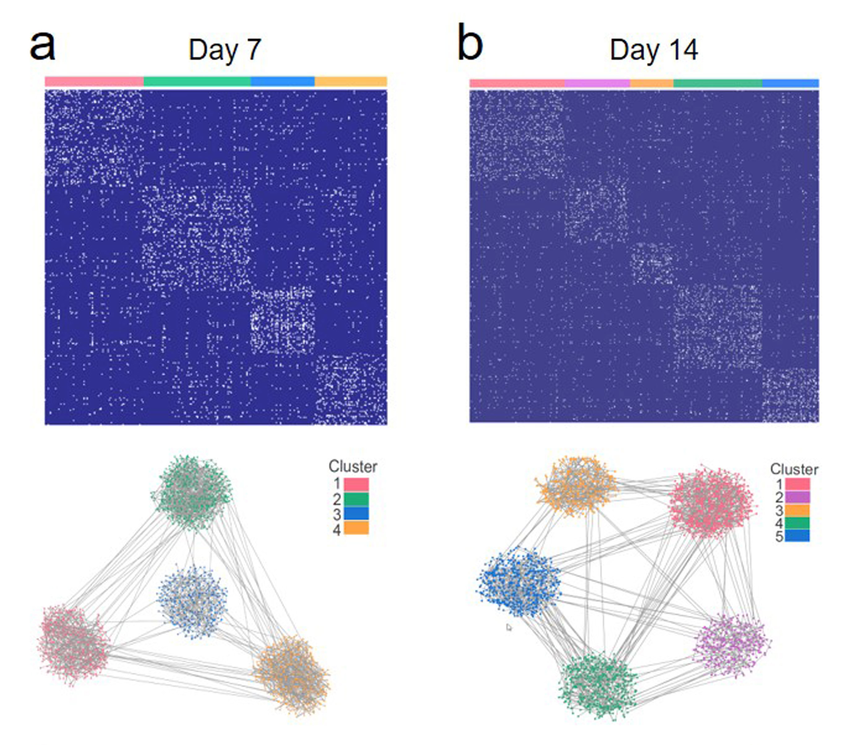Intracellular biopsy technique for fast microRNAs profiling in living ...
