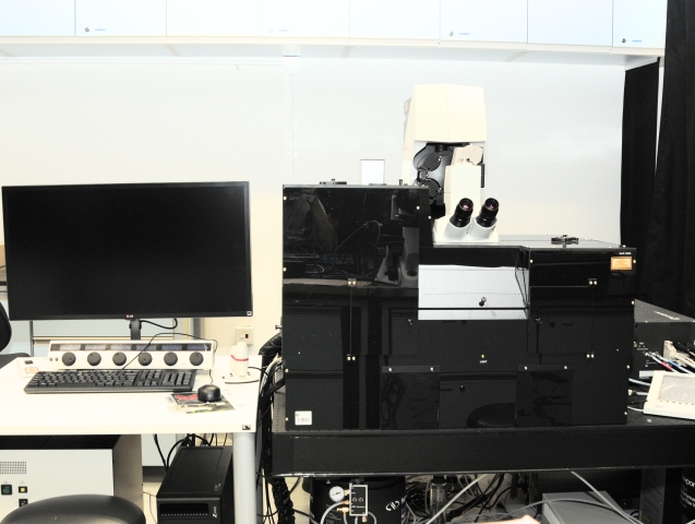 01 - Leica TCS Multiphoton