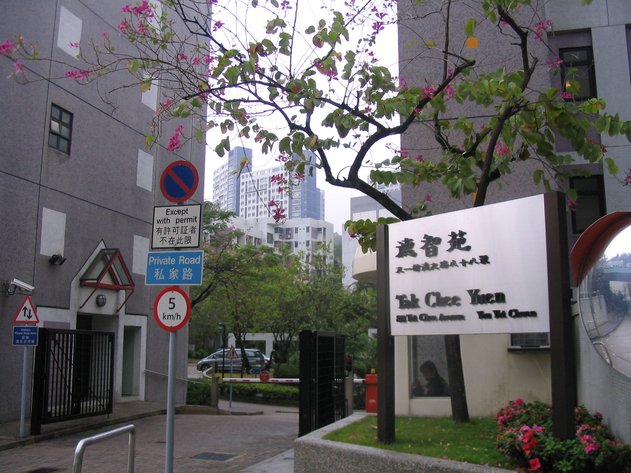 Yuen Tak