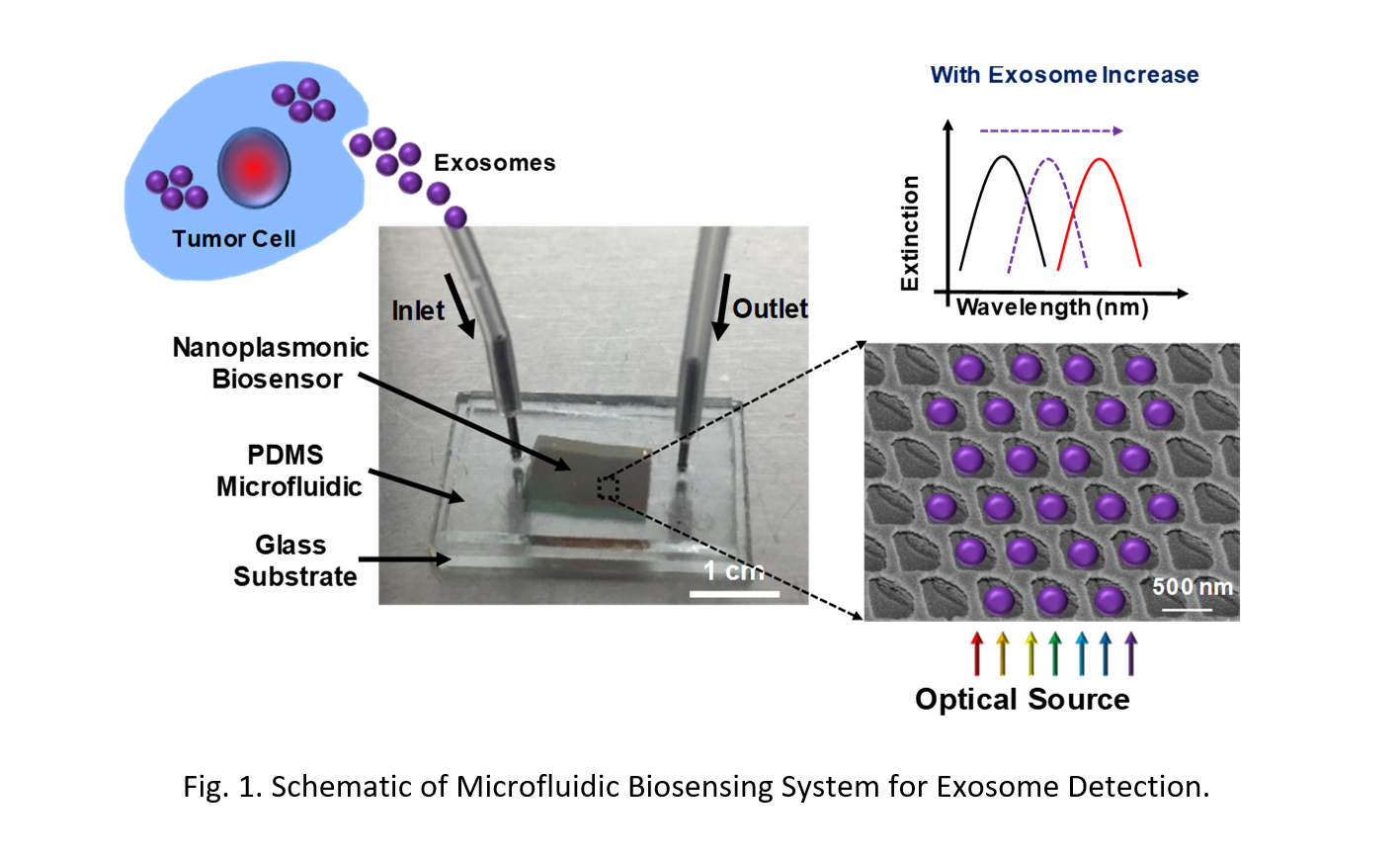 A Microfluidic Biosensing System for Effective Cancer Diagnostic and ... A Microfluidic Biosensing System for Effective Cancer Diagnostic and ...